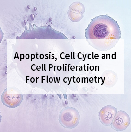 BD Biosciences Apoptosis, Cell Cycle and Cell Proliferation for Flow ...