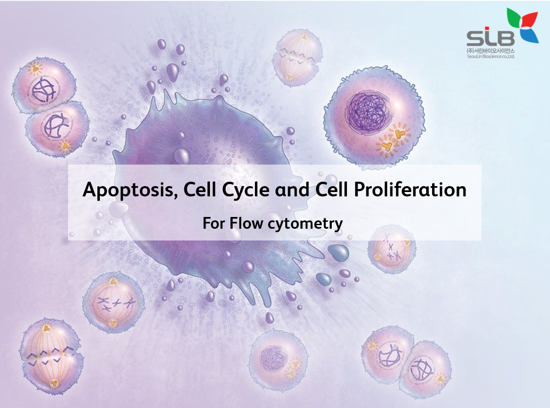 BD Biosciences Apoptosis, Cell Cycle and Cell Proliferation for Flow ...