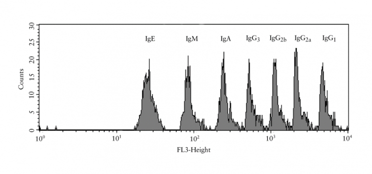 BD Biosciences Cytometric Bead Array (CBA) Assay kit - 서린바이오사이언스