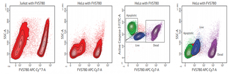 BD Biosciences Fixable Viability Stain(FVS) - 서린바이오사이언스