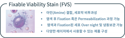 BD Biosciences Fixable Viability Stain(FVS) - 서린바이오사이언스