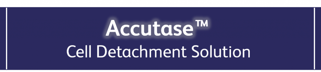 동물유래성분 없는 마일드한 Cell detachment solution - Accutase™ - 서린바이오사이언스
