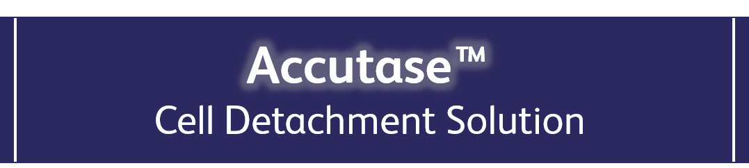 동물유래성분 없는 마일드한 Cell detachment solution - Accutase™ - 서린바이오사이언스