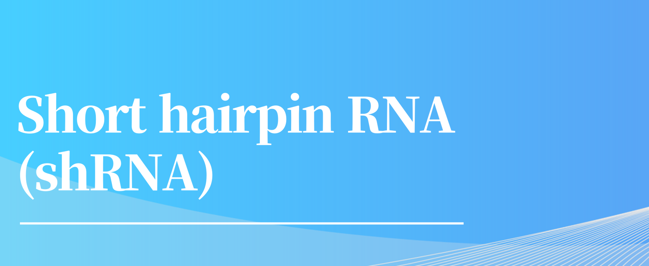 Short hairpin RNA (shRNA) - I 편 - 서린바이오사이언스