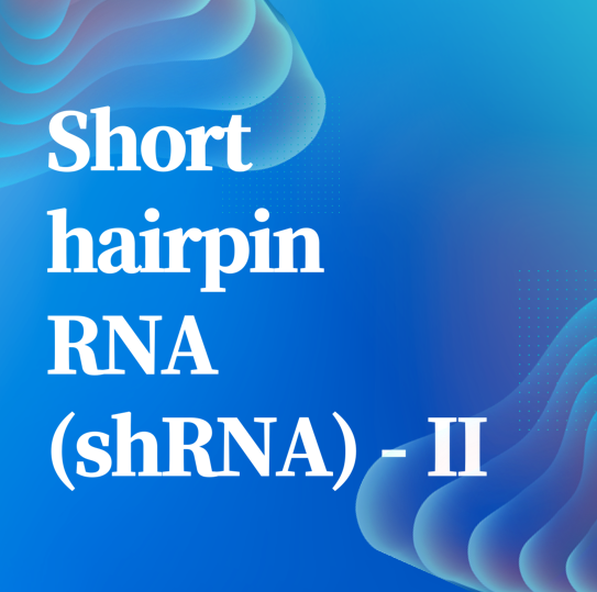 Short hairpin RNA (shRNA) – II 편 - 서린바이오사이언스