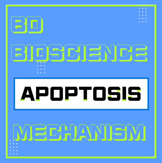 [BD Bioscience] Apoptosis Mechanism관련 제품 - 서린바이오사이언스