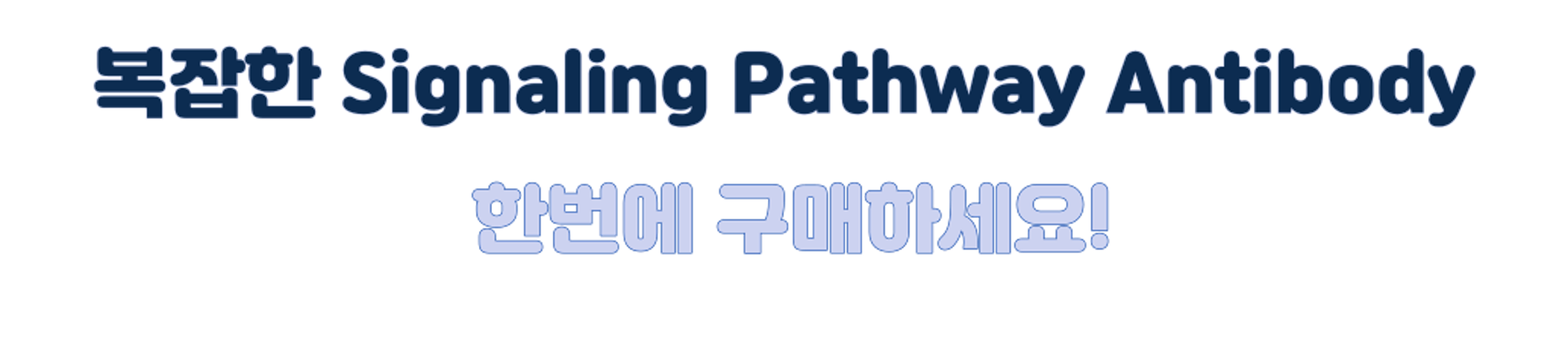 [Cell Signaling Technology] Antibody Sampler Kits 를 소개합니다! - 서린바이오사이언스