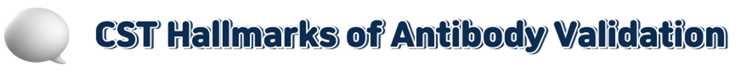 [Cell Signaling Technology] CST Antibody Validation-II - 서린바이오사이언스