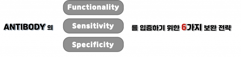 [Cell Signaling Technology] CST Antibody Validation-I - 서린바이오사이언스