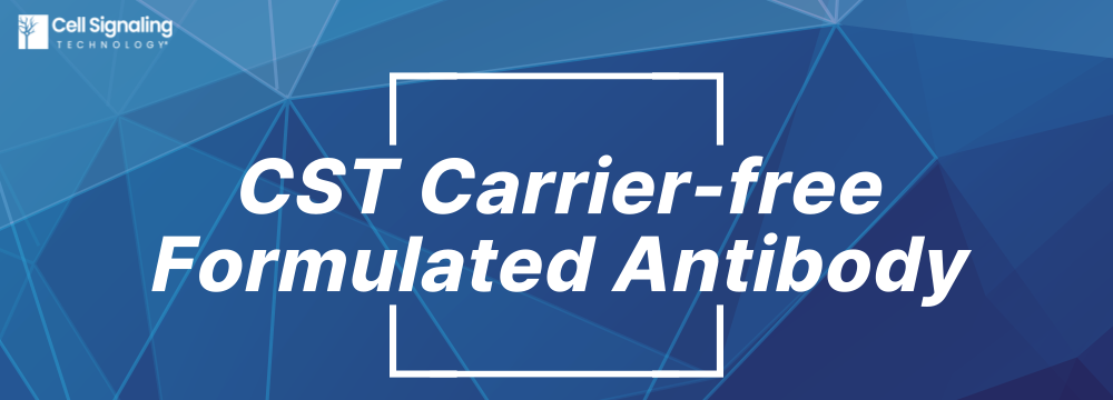 [Cell Signaling Technology] Carrier-free Formulated Antibody - 서린바이오사이언스