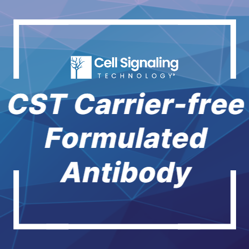 [Cell Signaling Technology] Carrier-free Formulated Antibody - 서린바이오사이언스