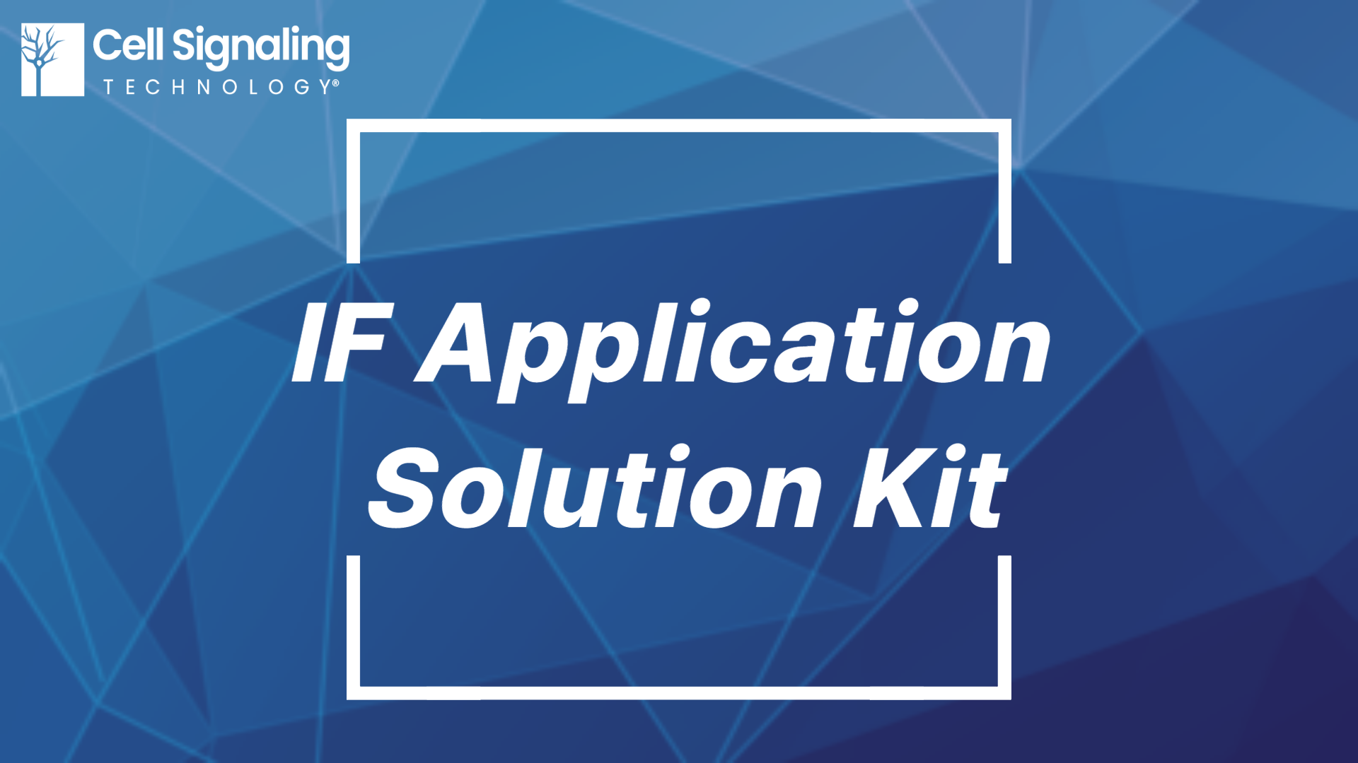[Cell Signaling Technology] IF Application Solution Kit - 서린바이오사이언스