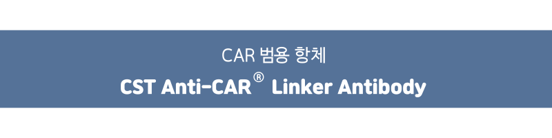 [Cell Signaling Technology] Anti-CAR Linker Antibodies : 네이버 블로그