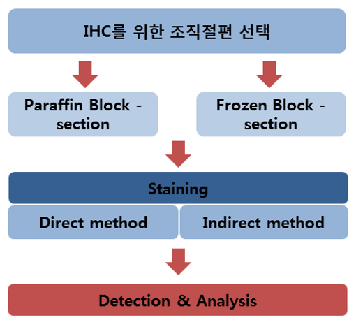 [Cell Signaling Technology] IHC - 서린바이오사이언스