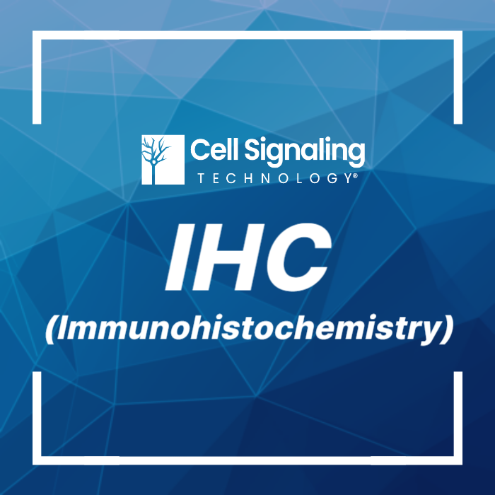 [Cell Signaling Technology] IHC - 서린바이오사이언스