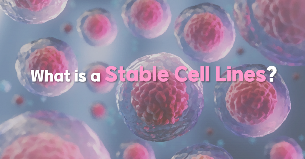 Stable Cell Line 이란 무엇인가? - 서린바이오사이언스
