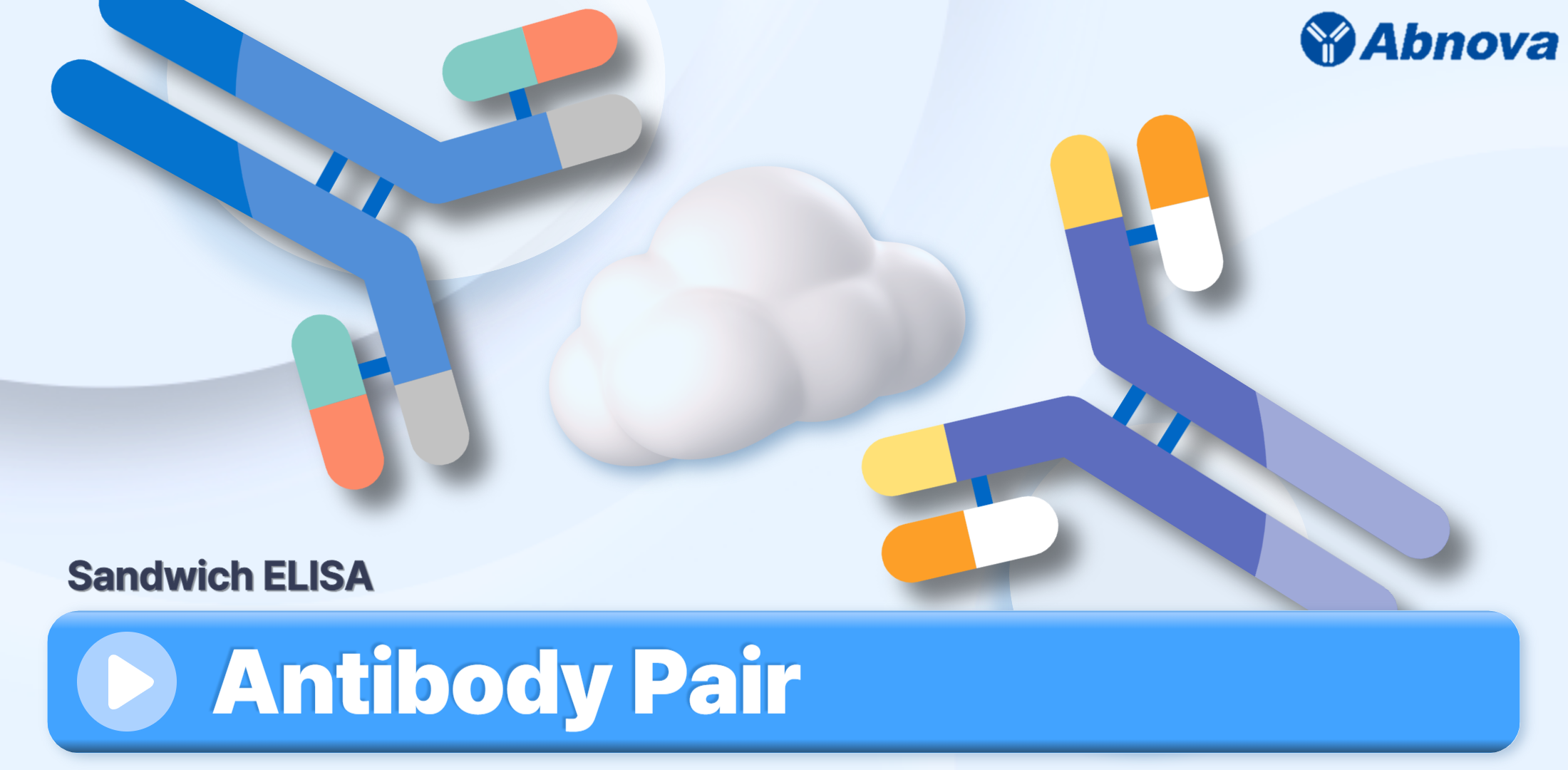 [Abnova] Sandwich ELISA Antibody Pair : 네이버 블로그