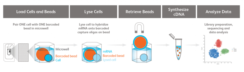 [BD] Single Cell Multiomics System - 서린바이오사이언스