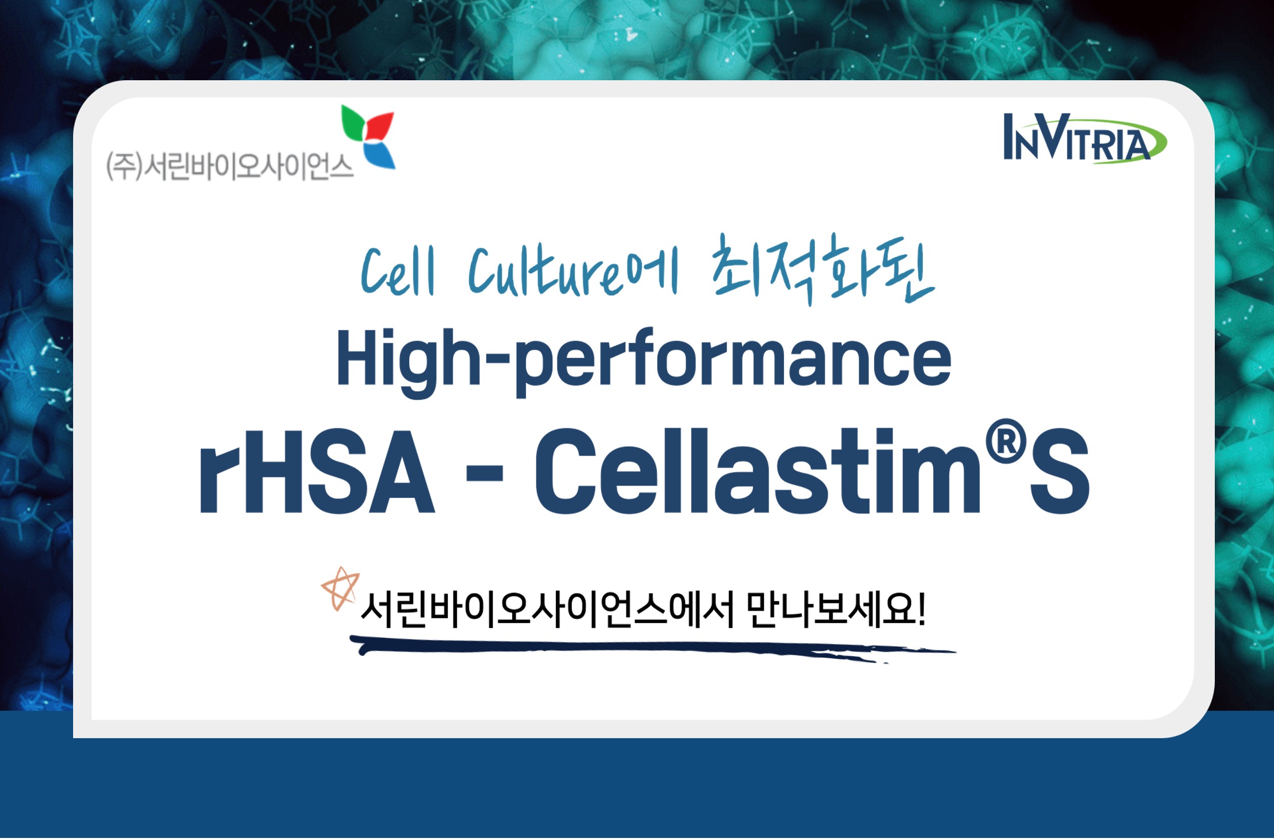 [InVitria] Cell Culture에 최적화된 High-performance rHSA-Cellastim S 서린바이오 ...