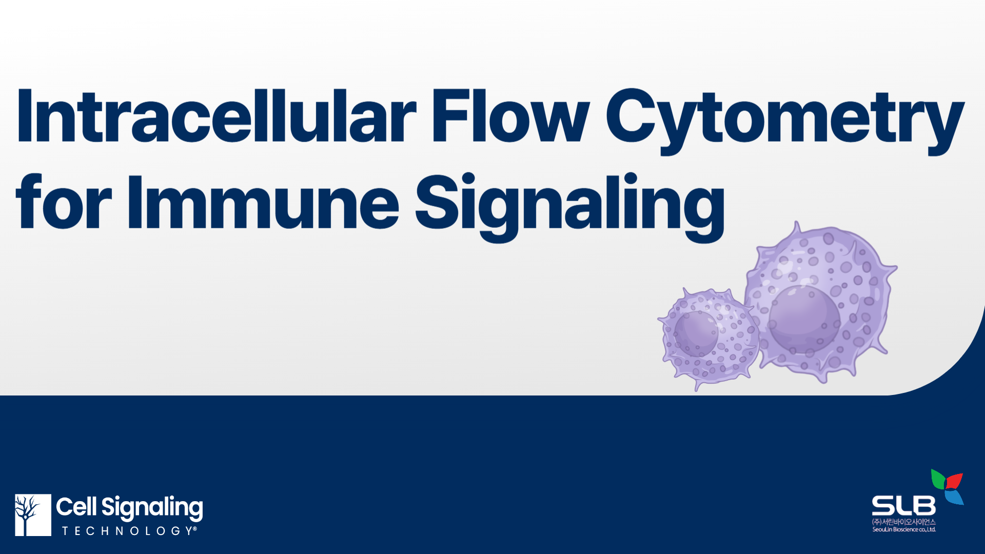 [CST] Intracellular Flow Cytometry for immune signaling - 서린바이오사이언스