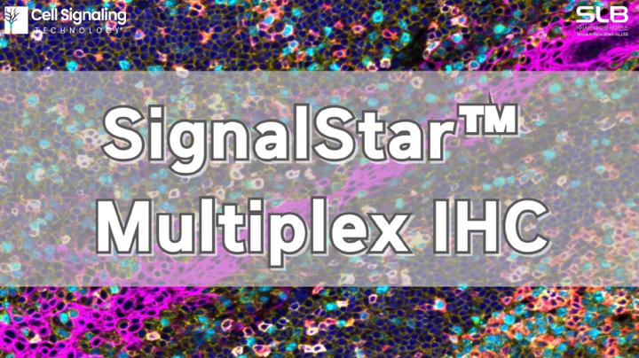 [CST] SignalStar™ Multiplex IHC│Spatial Biology 연구 솔루션 - 서린바이오사이언스