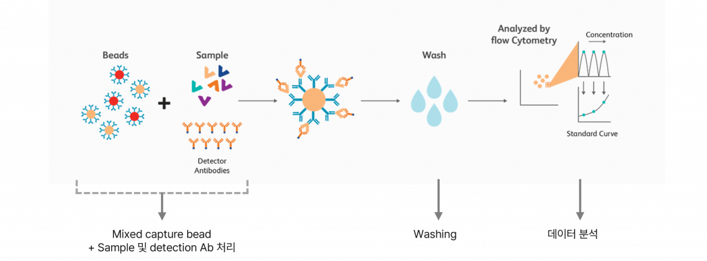 CBA Assay Kit : Bead 기반 Flow Cytometry로 Multiplex Cytokine 정량 분석하기 - 서린 ...